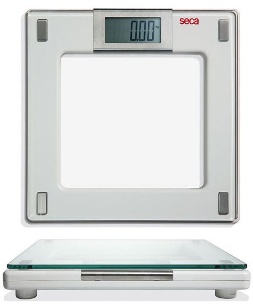 Seca 807 Digital Weight Scale - Hogentogler.com